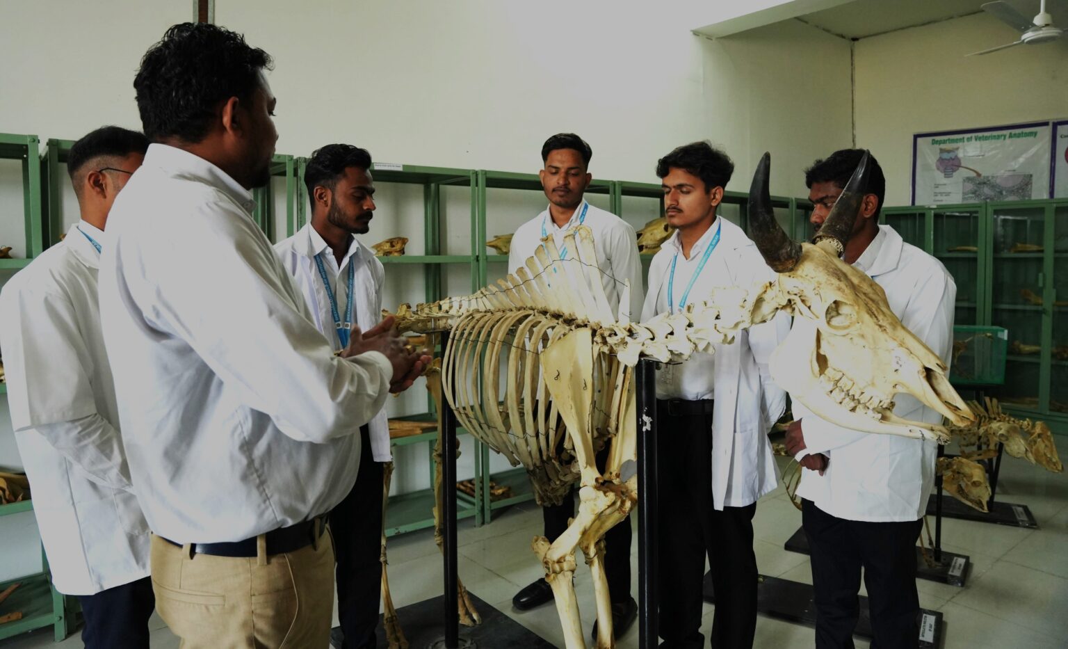 Top veterinary college for B.V.Sc. & A.H. Sikar, Rajasthan - Shekhawati ...